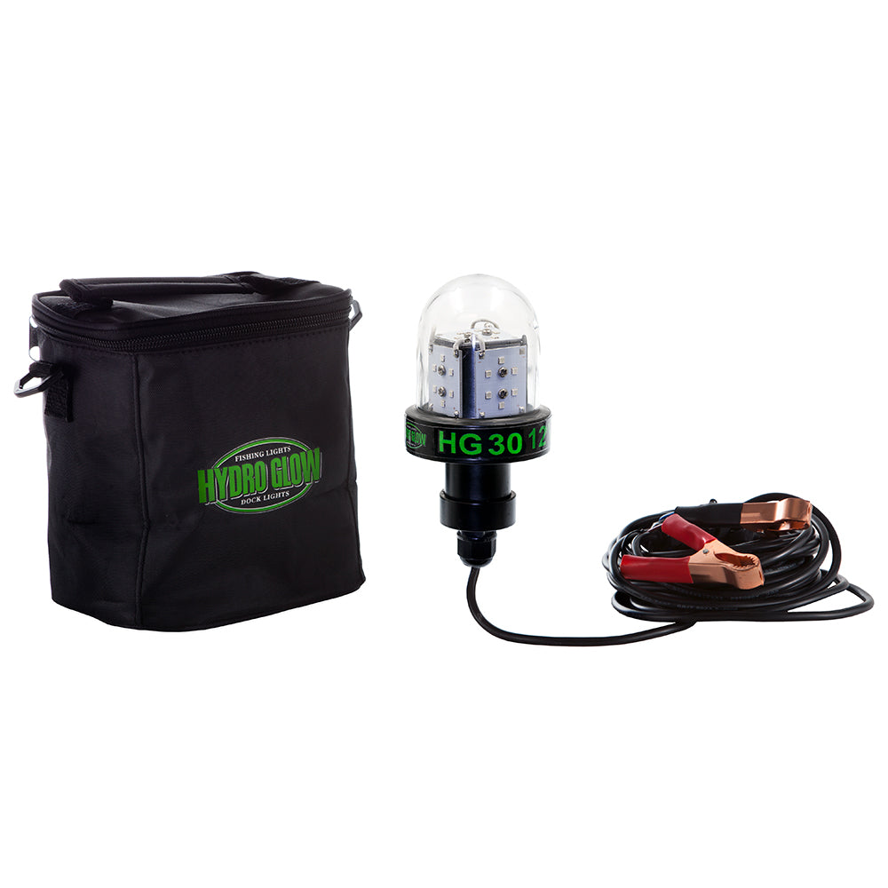 Hydro Glow HG30 30W/12V Deep Water LED Fish Light - Green Globe Style ...